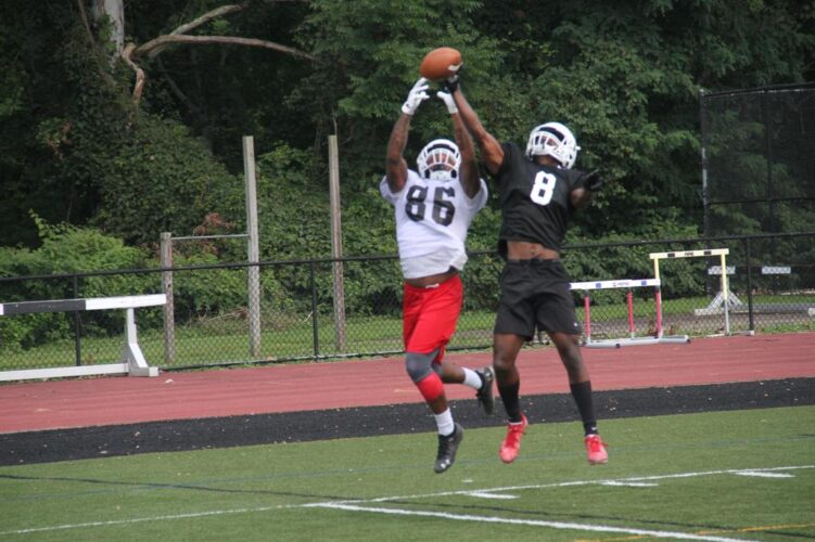 Cardinals look to take next step as a program | News, Sports, Jobs ...